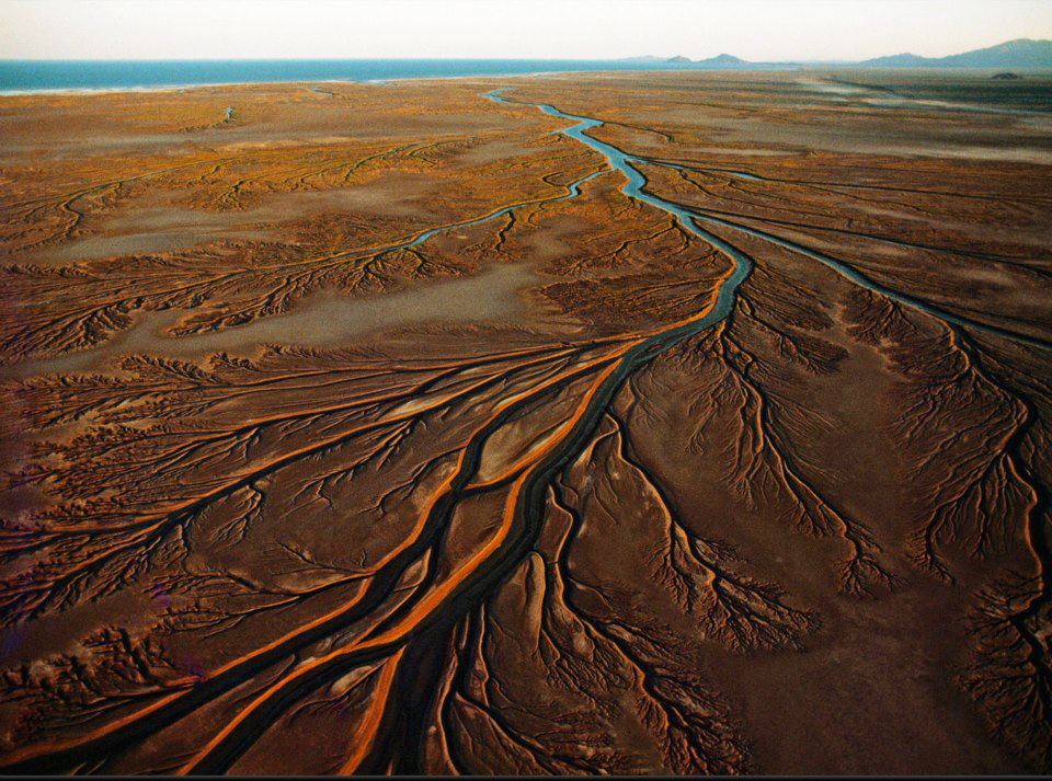 Expectacular World: MUDFLATS: Superb Fossil locales of the Past and the ...