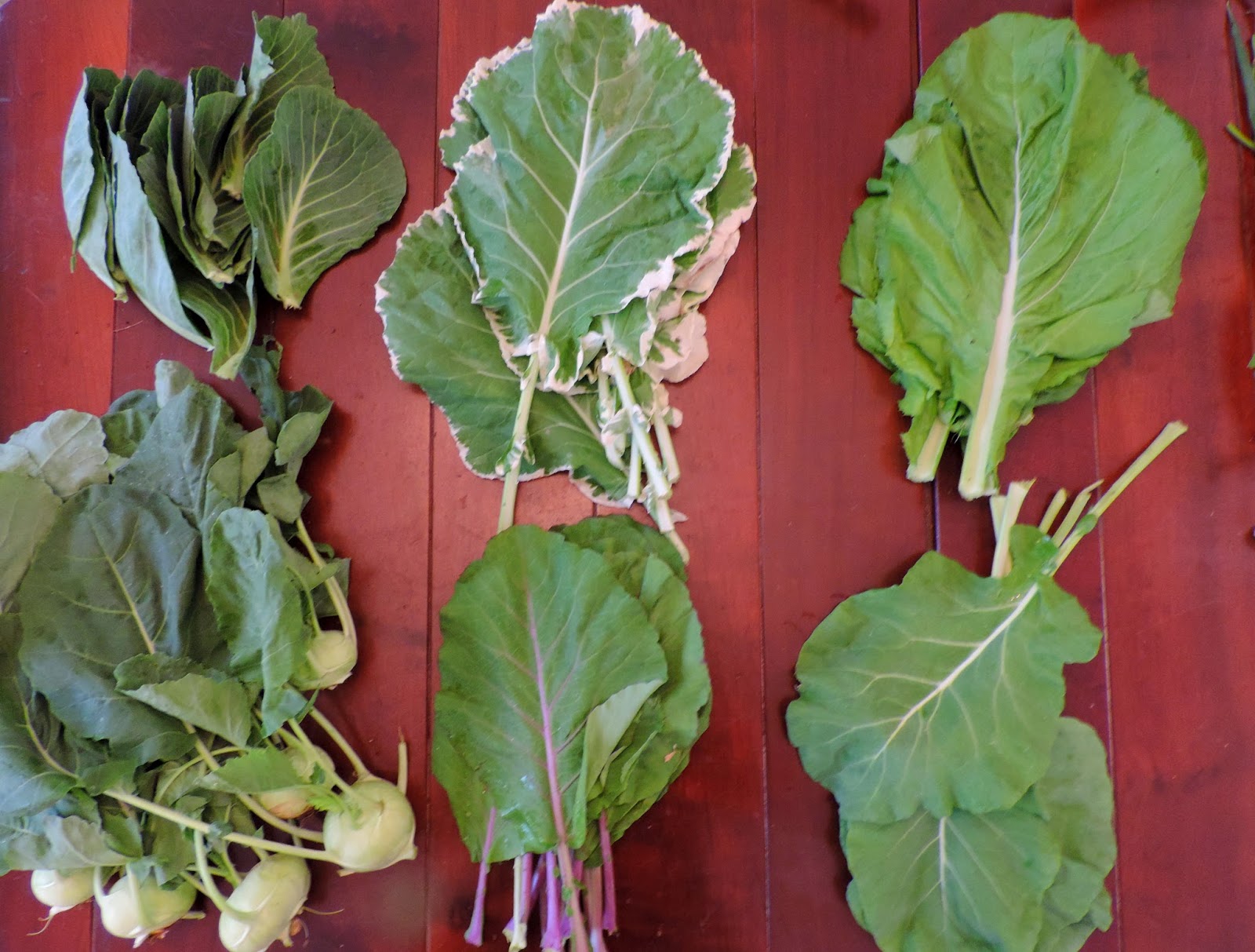 come-se: É tudo couve neste inverno