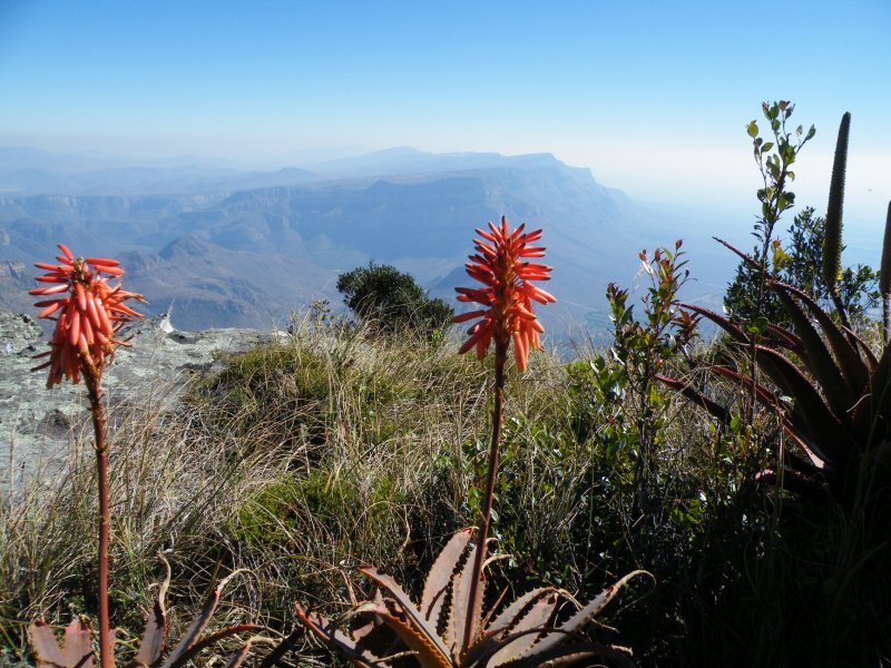 Beautiful South Africa: Swadini Resort