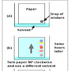 Theory of Chromatography