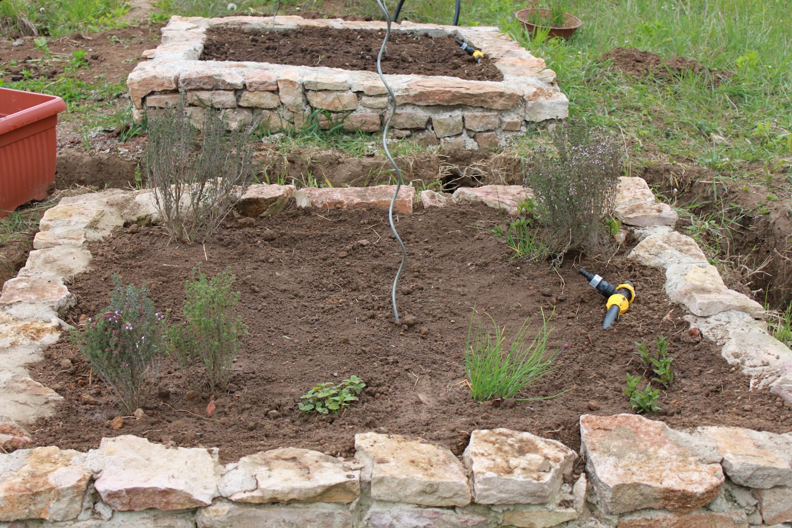 1,2,3... pivoine!: Le potager prend forme...