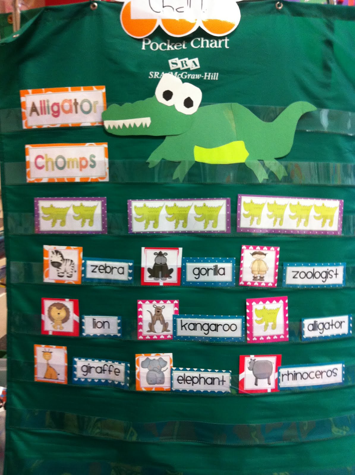 Welcome to Room 36!: zoo continued