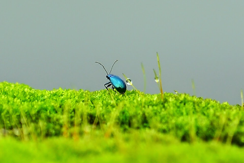 Sharath Hassan A Travelling Photographer: Savehaklu Reservoir, Nagara ...