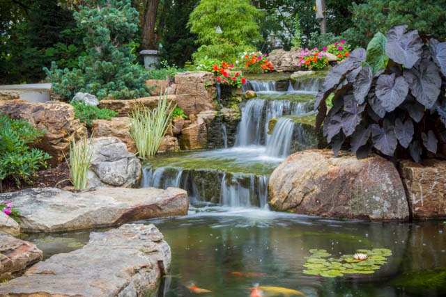Aquascape Your Landscape: Amazing Suburban Backyard Transformed with ...