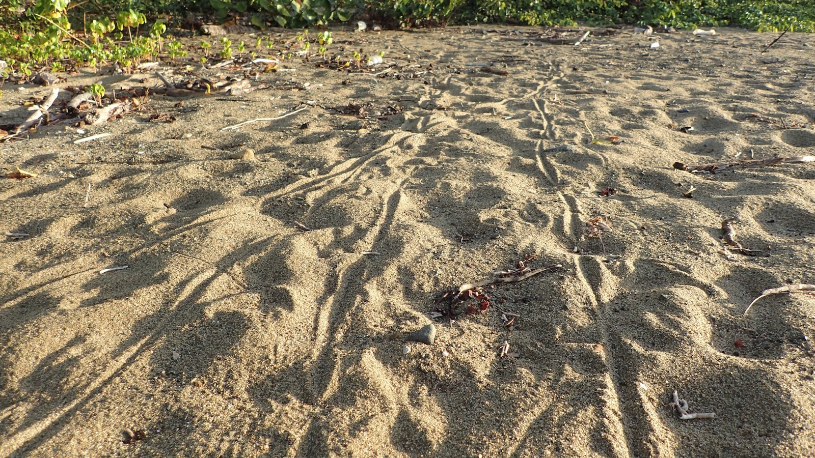 Things we did today...: February 2019