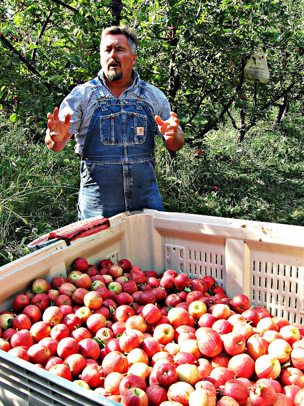 sweetsugarbean: Wonderment: Washington Organic Fruit Tour