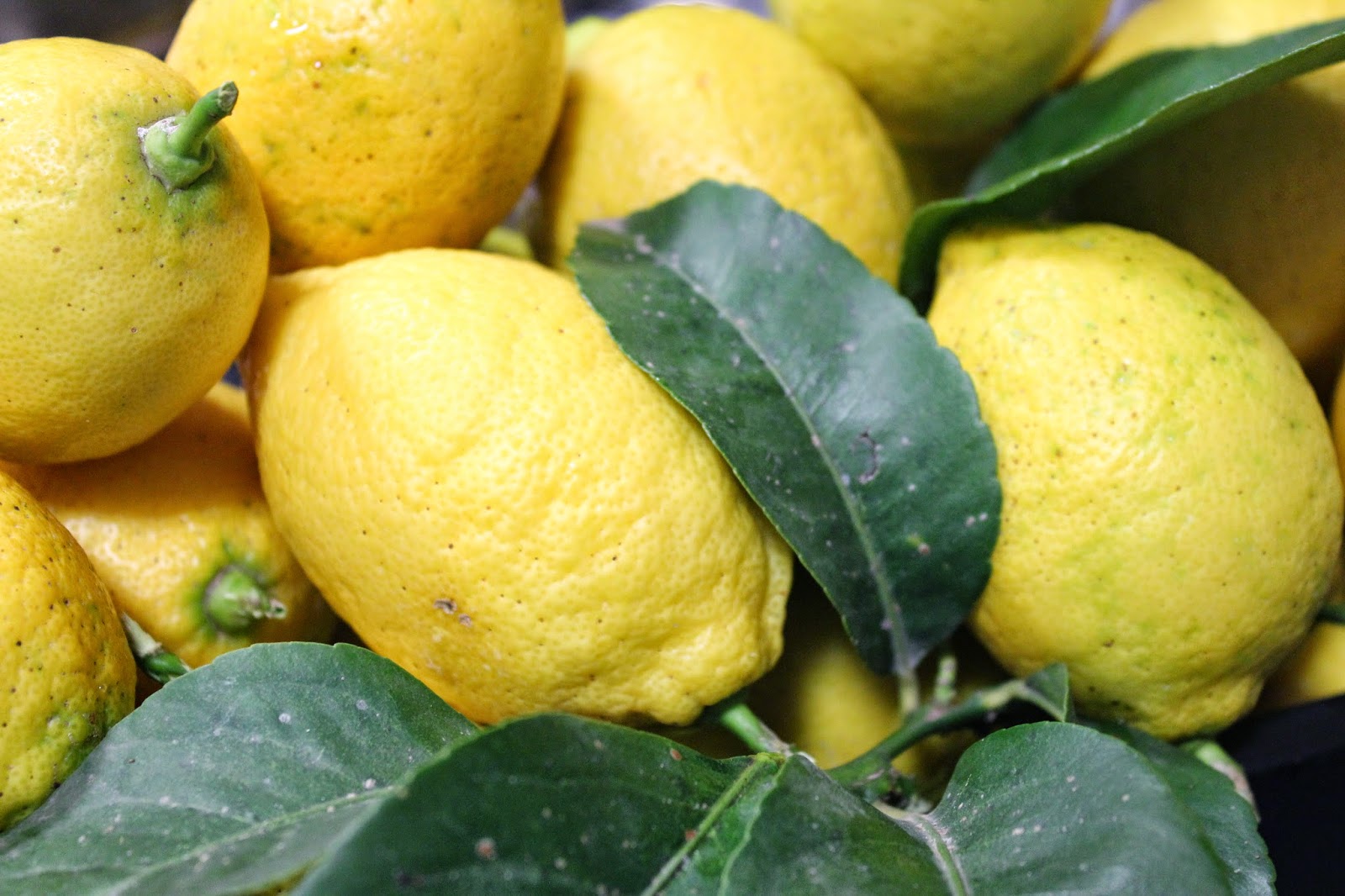 Limoncello al estilo de Sorrento