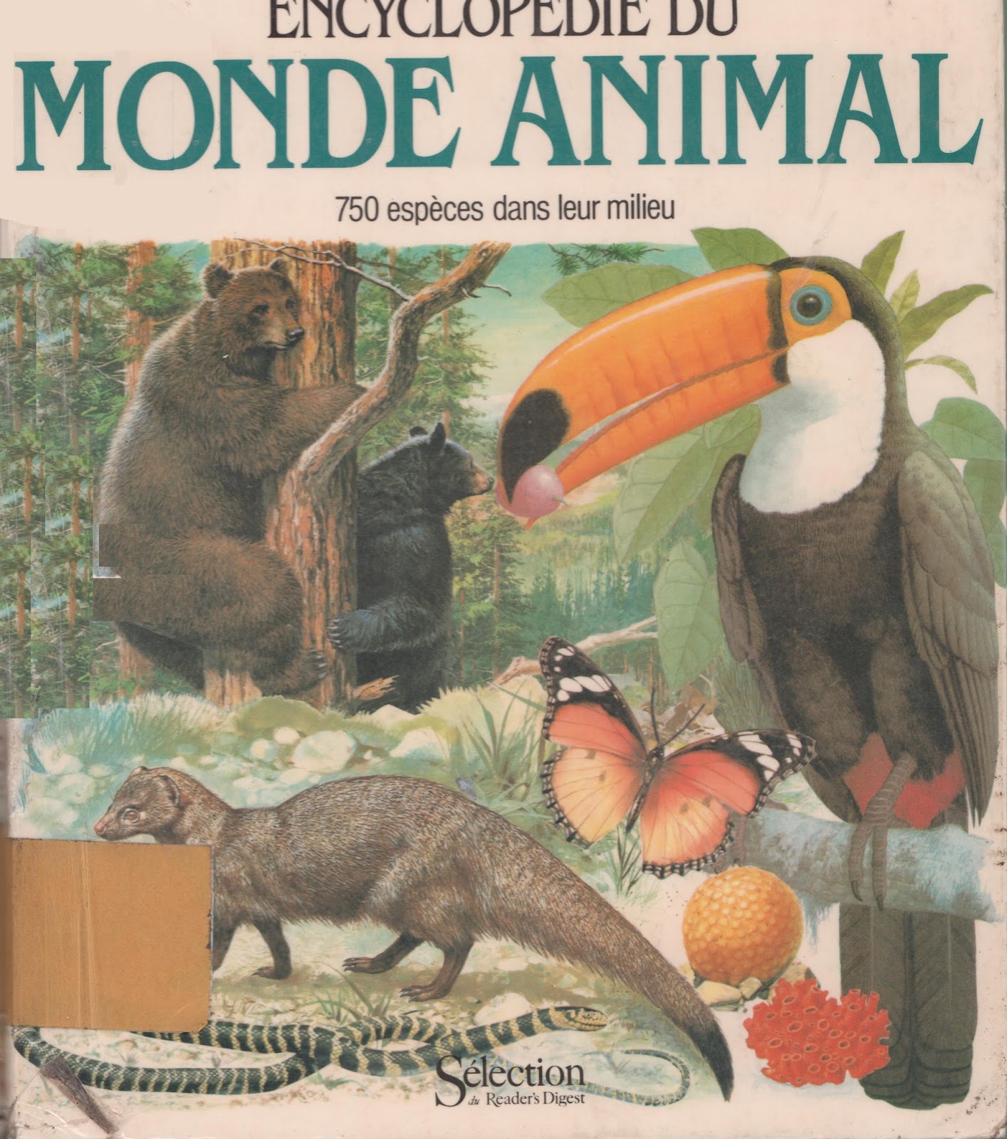 Leçons de choses: Mammifères (Encyclopédie du monde animal)
