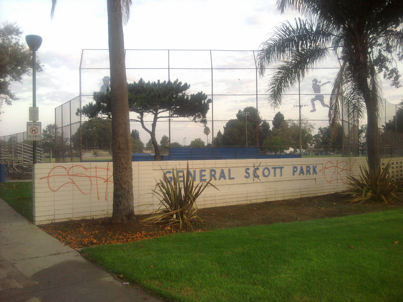 blood gangs graffiti: Scott park piru