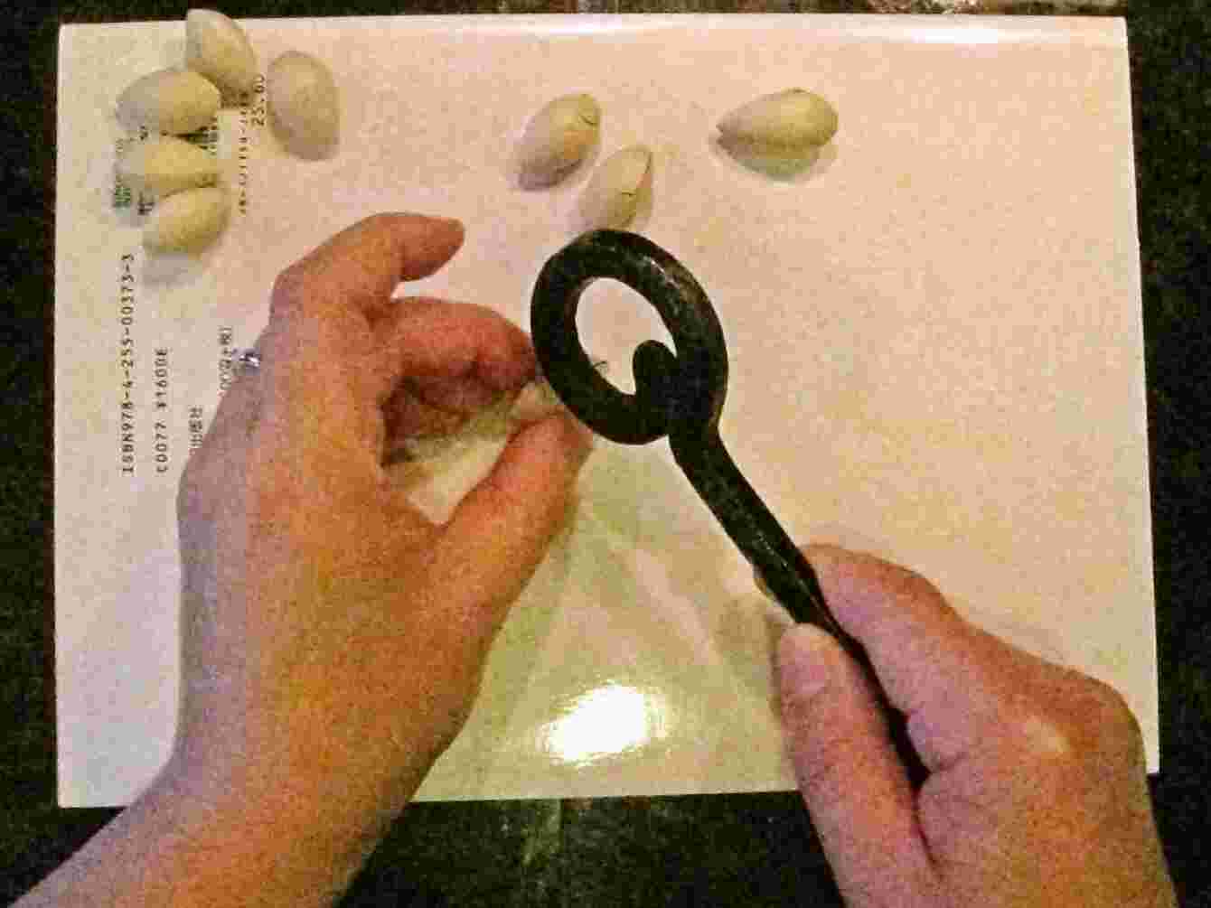 Recipes for Tom: Ginnan gingko nut prep