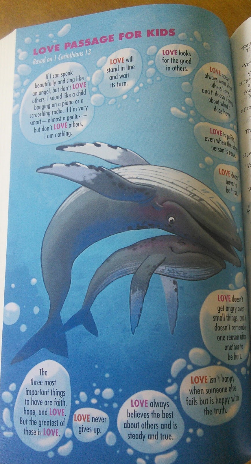 Website: http://www.zondervan.com/under-the-sea-holy-bible-nirv