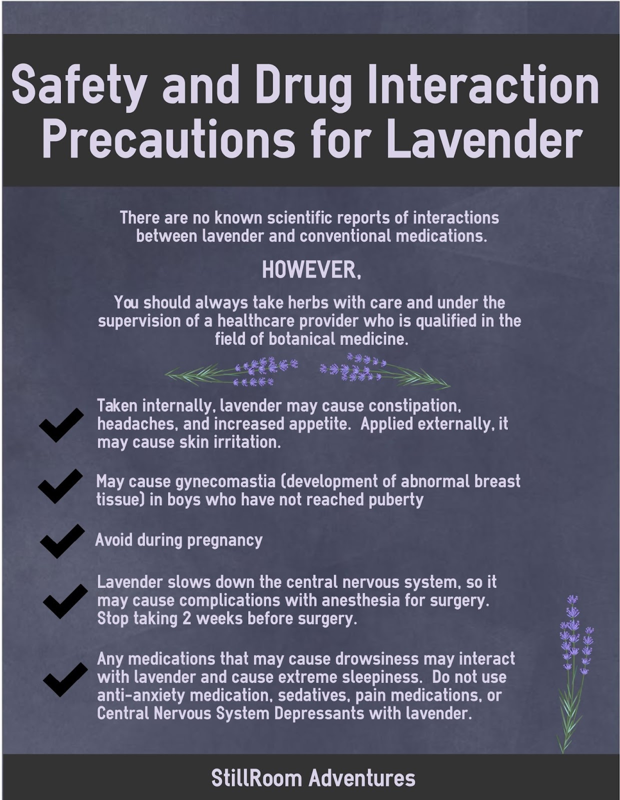 Lavender--The Ultimate Guide