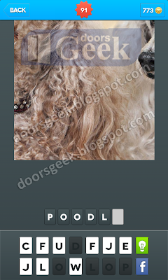 Zoomed In - Photo Word Game Level 91 ~ Doors Geek