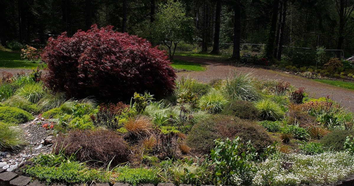 Wednesday Wide Shots