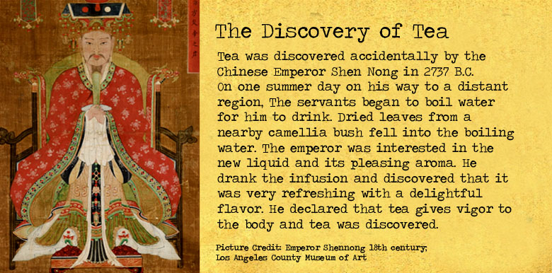 Tea Voyage - Photojourney through time: The Discovery of Tea