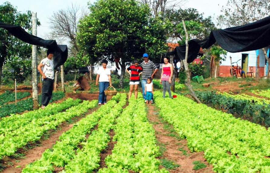 miscursos3: Unidad de Producción Agropecuaria UPA: Emprendimiento