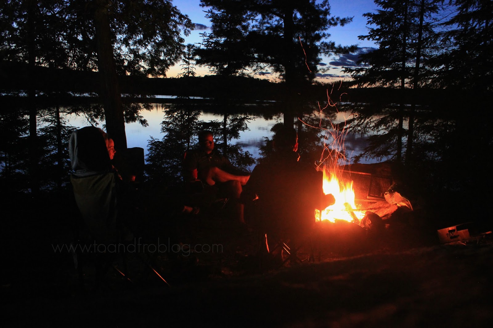 You'll Find Me in the Trees of Algonquin | To & Fro