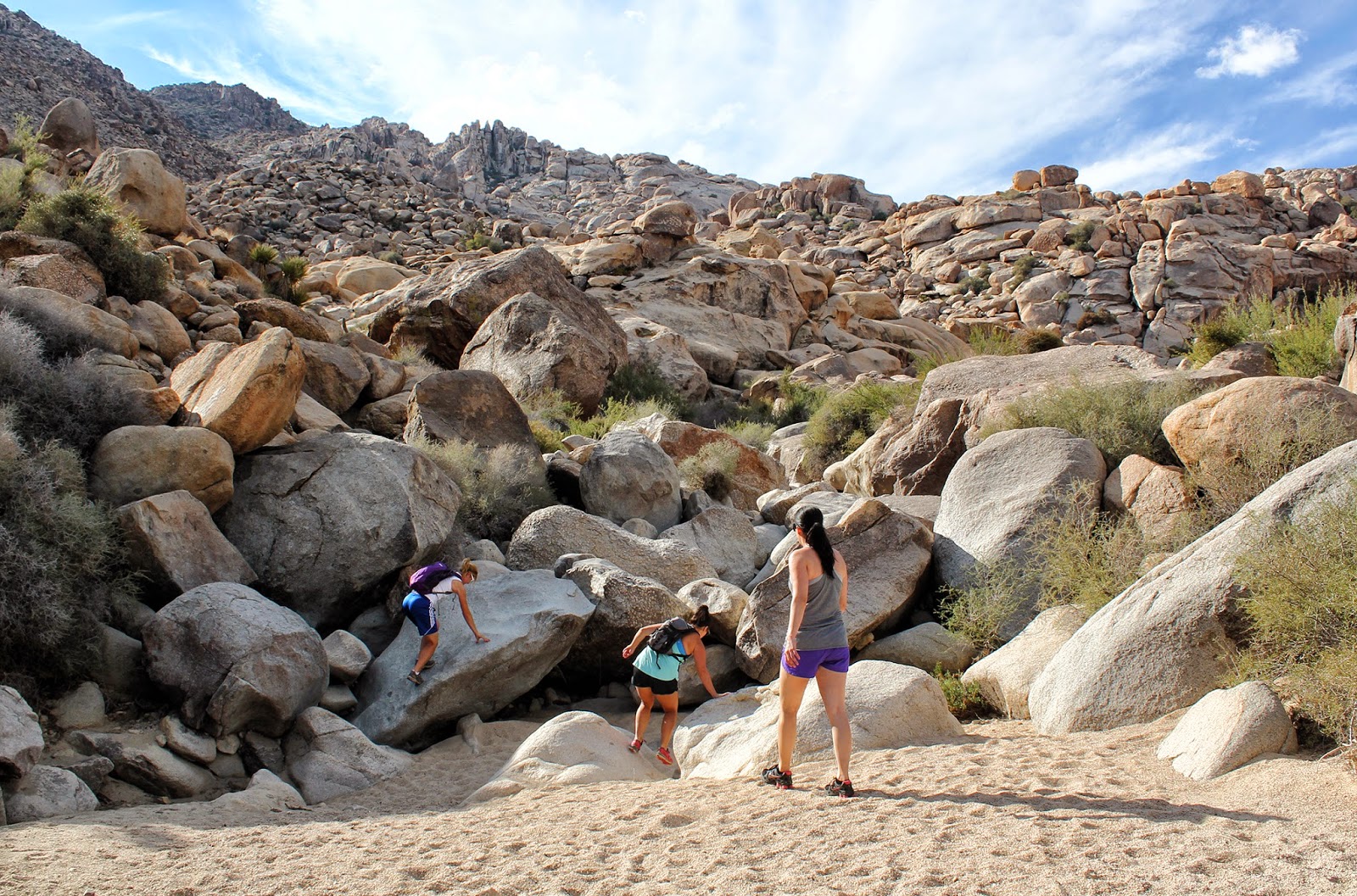 Joshua Tree National Park Waterfall