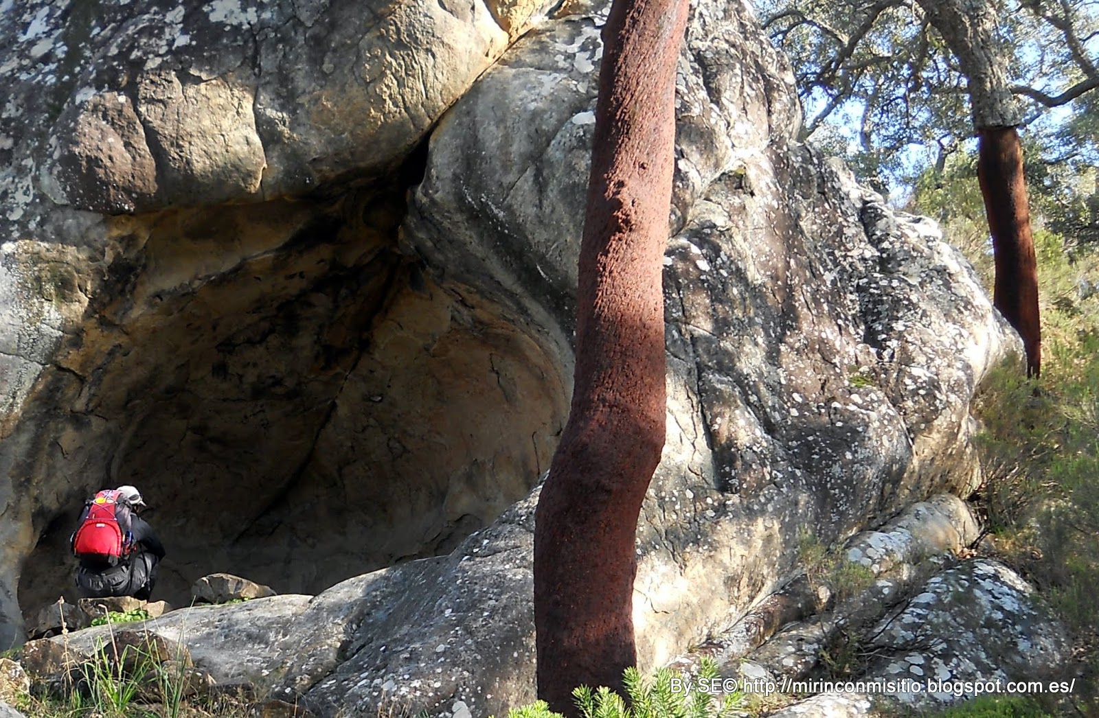 Mi Rincon Mi Sitio: Cambullo