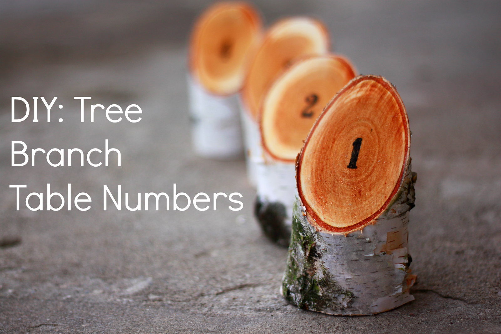 Camp Girl in the Real World: DIY: Tree Branch Table Numbers