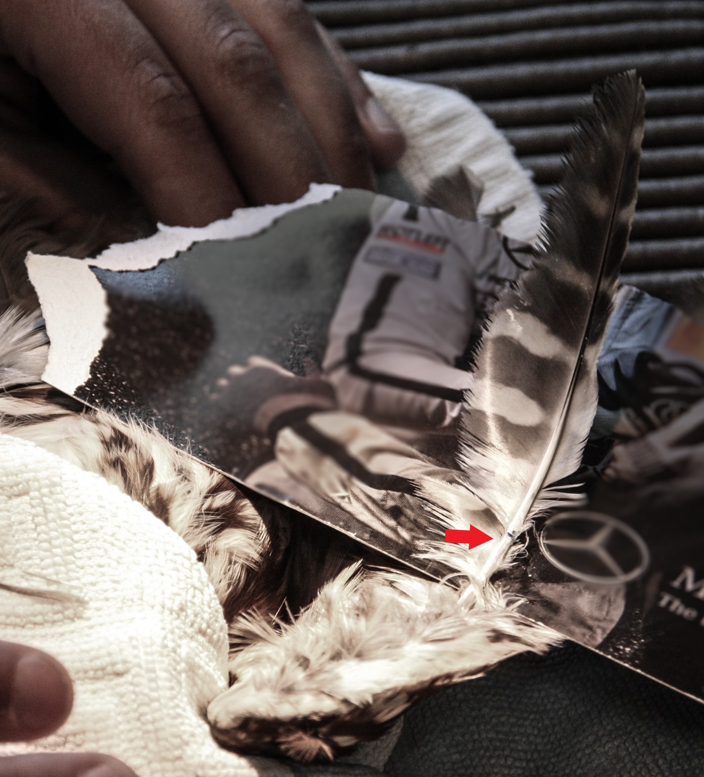 Mais um caso de sucesso - RIAS