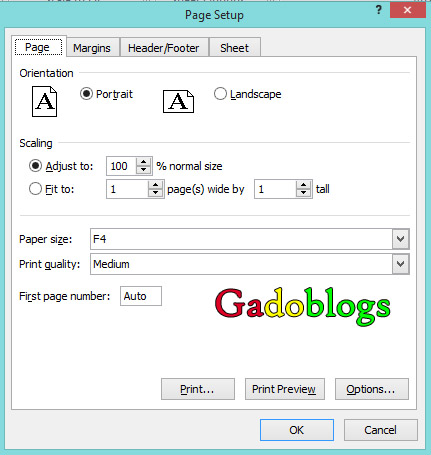 Cara membuat Kertas F4 di Excel - GADOBLOGS