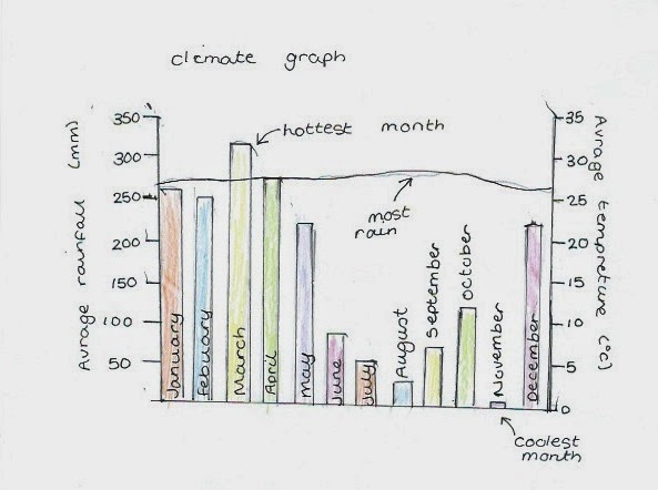 Nyves P Year 8 Assessment Brazil: About the Amazon Rainforest