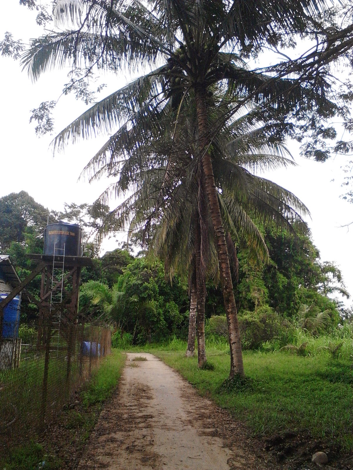 Persatuan Morek Long Banyok of Baram