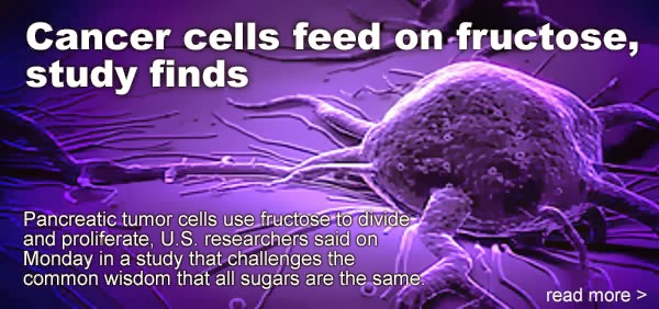 ORTHOMOLECULAR NUTRITIONAL MEDICINE: Cancer cells feed on fructose ...