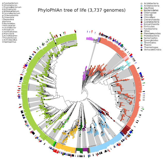 Eats, Graphs and Leaves: GraPhlAn: Sorta Like Circos for Python