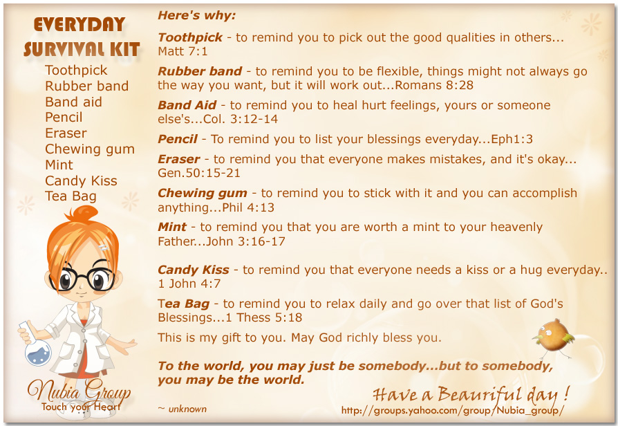 * Nubia_group Inspiration *: Everyday Survival Kit