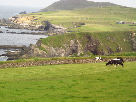 GOING ON ADVENTURES: Festival to honor Irish culture in South Texas