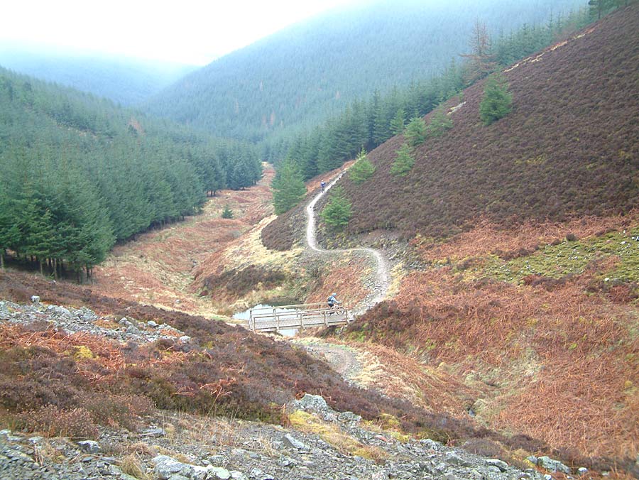 Flying Chick: Glentress, Peebles, May Bank Holiday Weekend