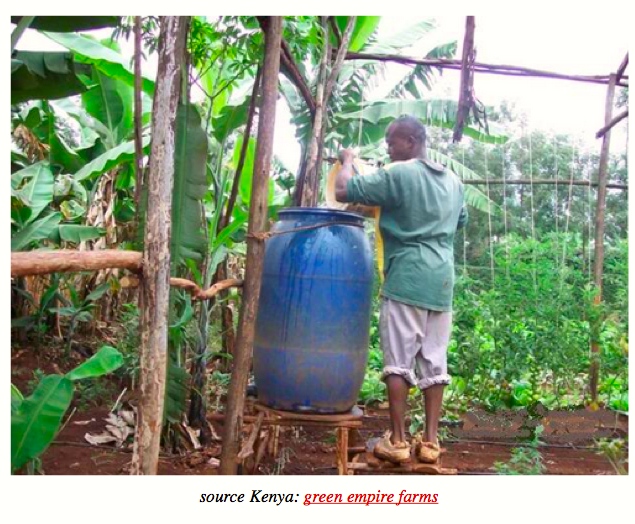 Gravity Drip Bucket Irrigation Systems | Big Picture Agriculture