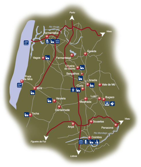 JANELA DE CHEIROS: Regiões Vitivinícolas