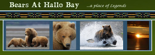 Bears at Hallo Bay: Wolf: Alaska Wolf ©CAndersonTX