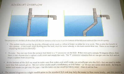 Desktop Farmer: アクアポニックスがやってくる ヤァ!ヤァ!ヤァ!