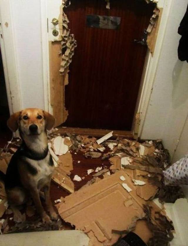 Mid-Daily Funny Picdump- 50 Pics