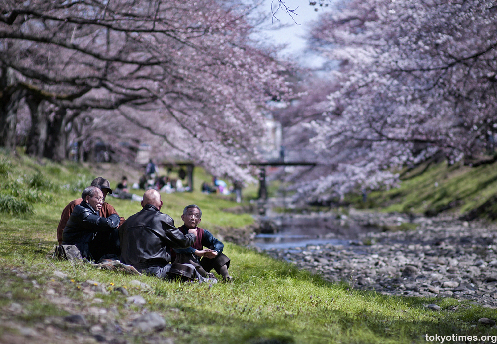 Chuzy Luphy Cherry: HANAMI