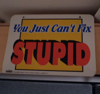 eSheep Designs: You Just Can't Fix Stupid