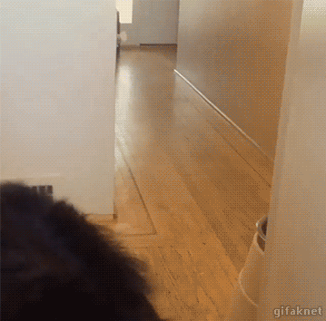 Falling Up Stairs Gif