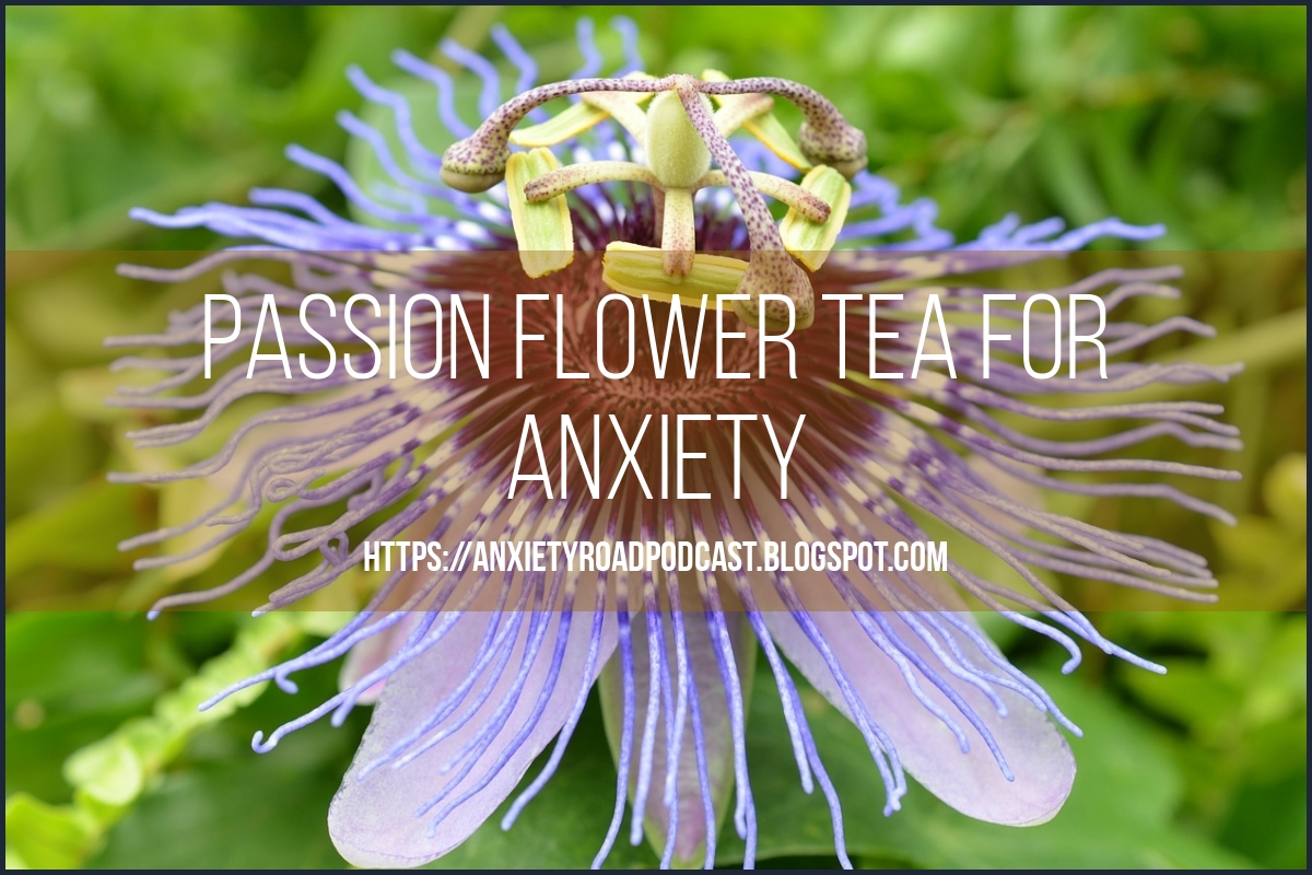 Show 134 Passion Flower Tea For Anxiety Symptoms show-134-passion-flower-tea-for-anxiety-symptoms