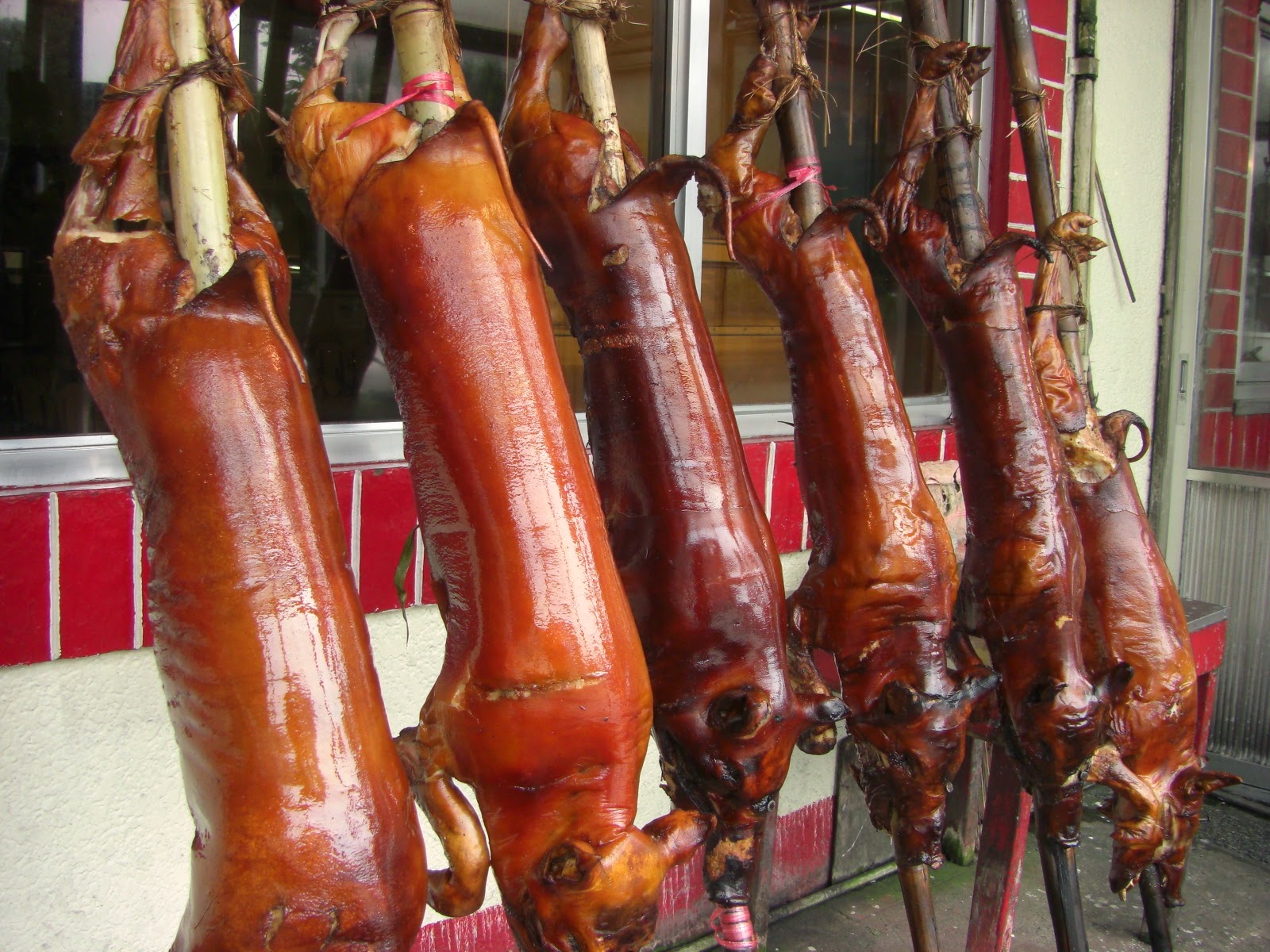 Konted's Make My Day 2: The Succulent Native Lechon