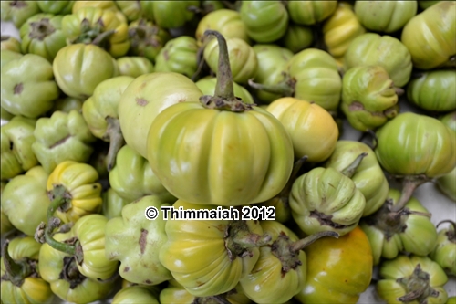 Regenerative agriculture and Innovation: Bitter Tomato : A Potential ...