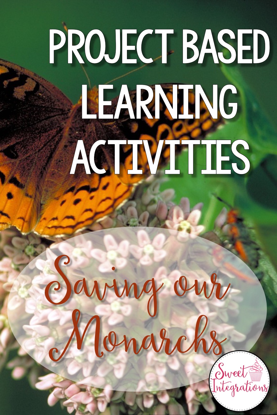 Saving Our Monarchs - 5 Ways Students Can Get Involved | Sweet Integrations