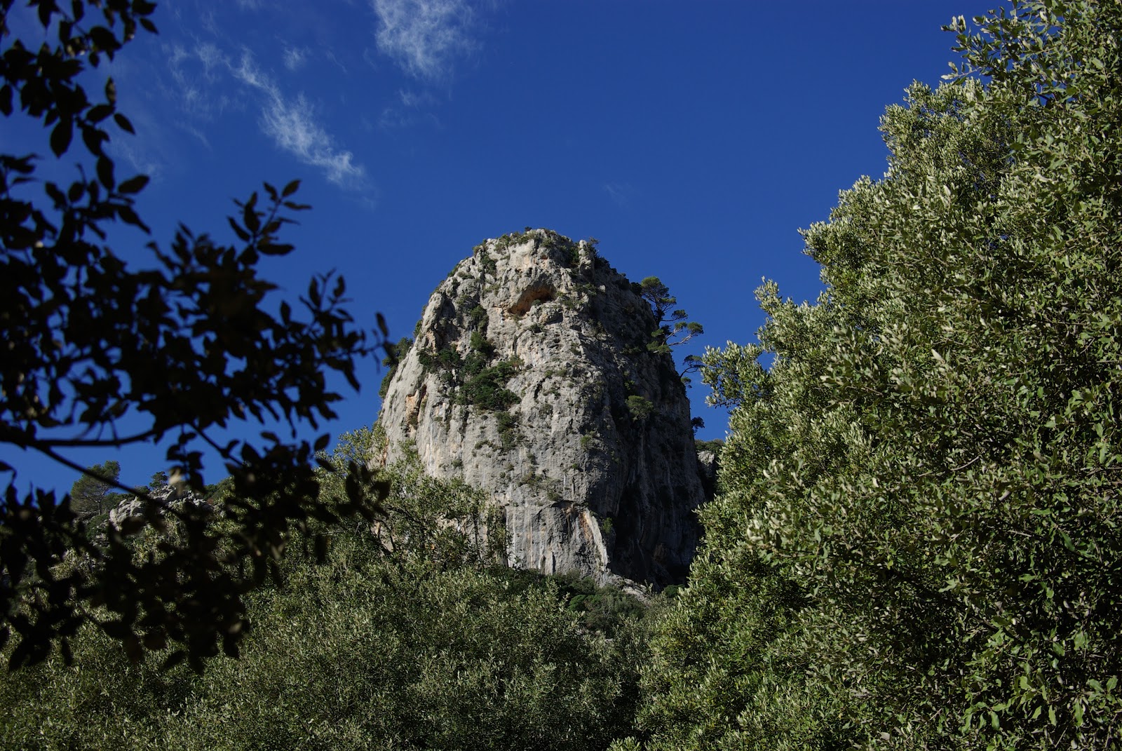 TRESQUES PER TRAMUNTANA: FONT NOVA DES MASSANELLA
