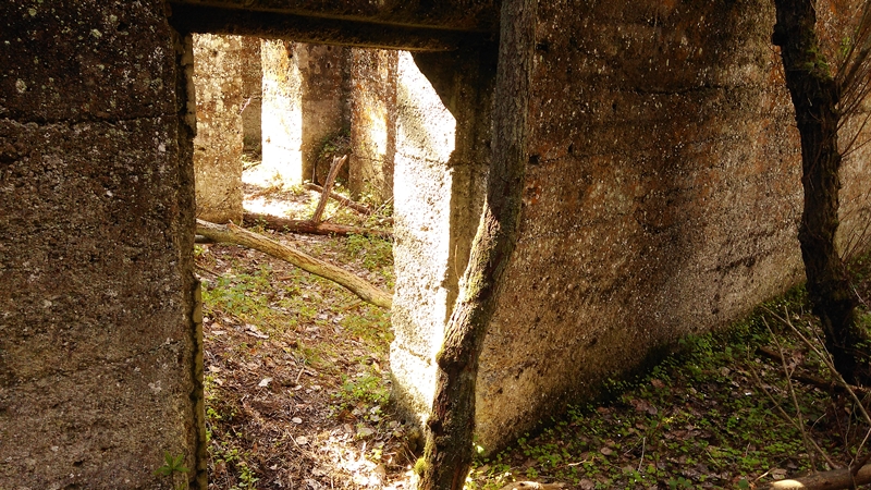 Ostra Góra na piaskowym szlaku