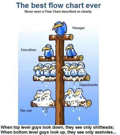 Funy Pic For You: The Best Flow Chart Ever - Never Seen A Flow Chart ...