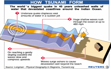 Natural Disaster & Hazards: Tsunami
