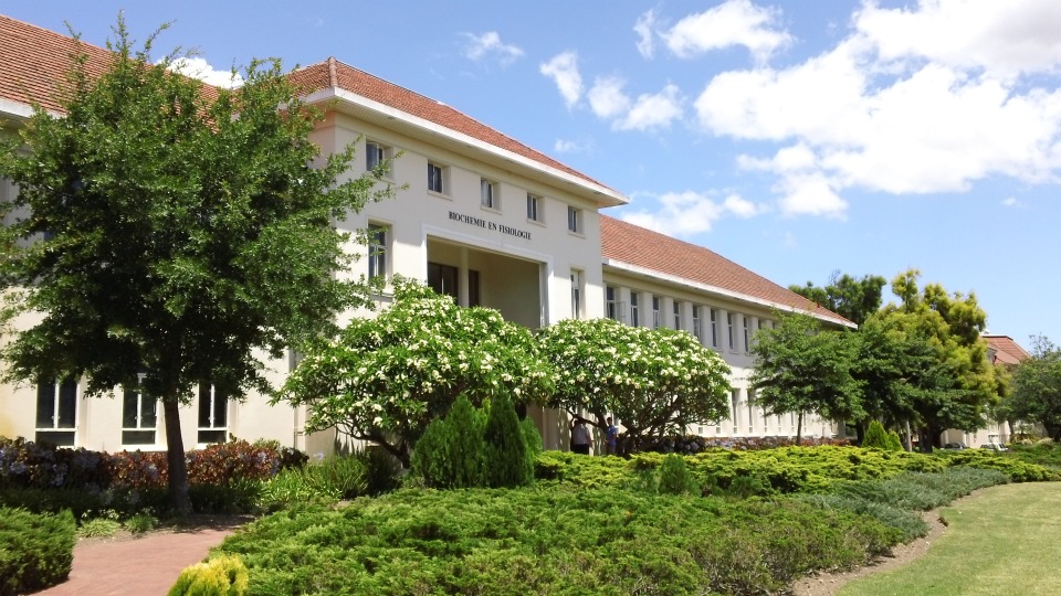 Study Abroad in South Africa: Downtown Stellenbosch